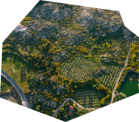 BUPi: O mapa invisível que começa a ganhar contornos em Coimbra ...